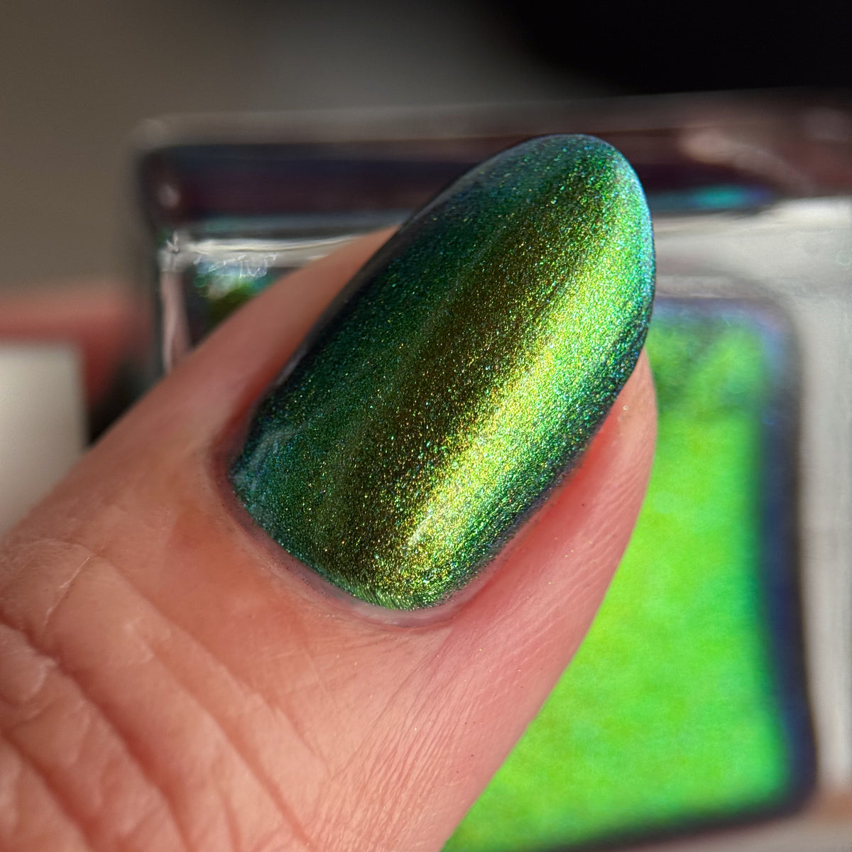 In my June Beetle Era (Exclusive for members of Multichrome Madness Fa – DRK Nails LAB